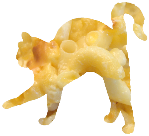 Catsparella: Exactly What It Sounds Like: Stuff In Cats