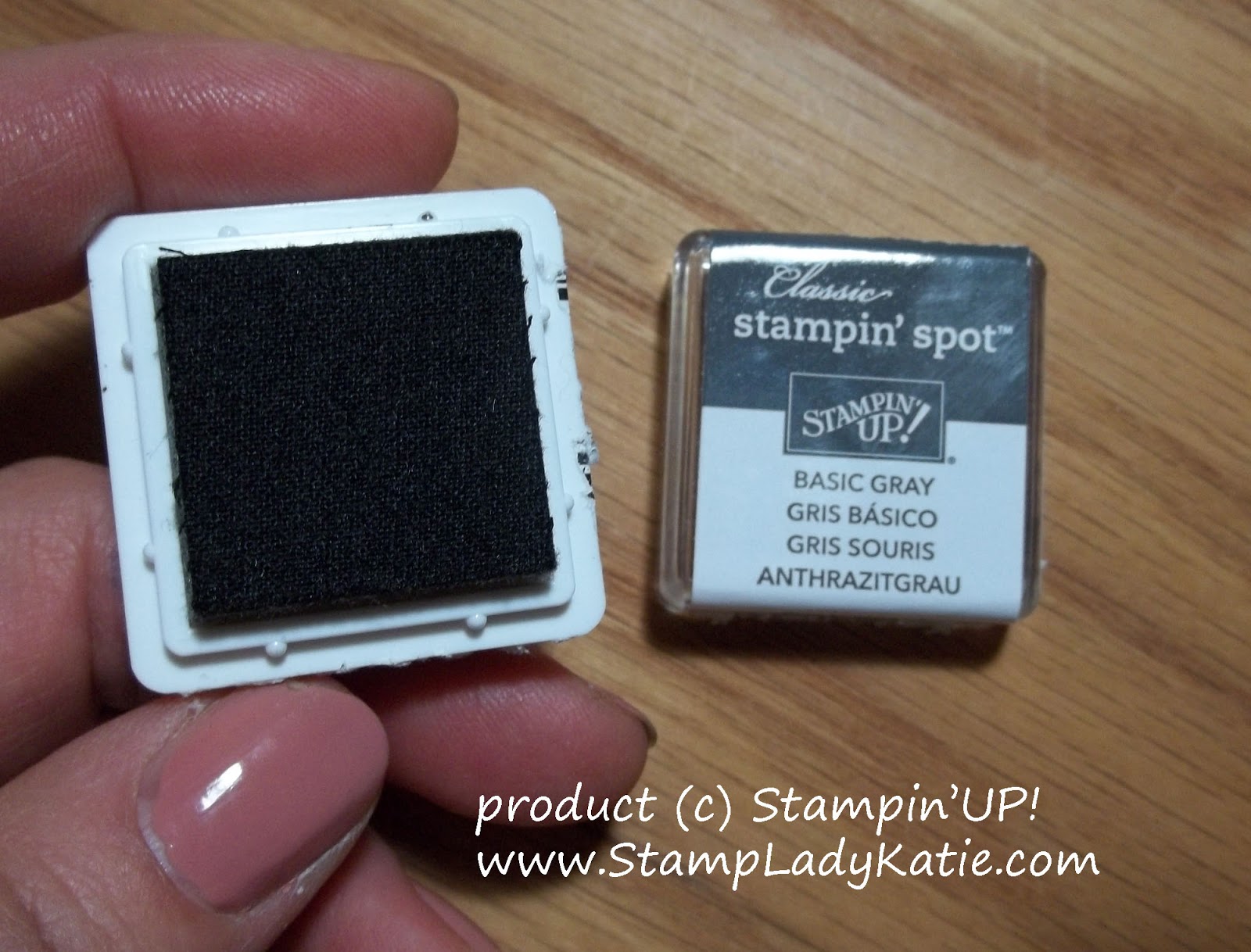 StampLadyKatie.com: Paper Pumpkin Extras