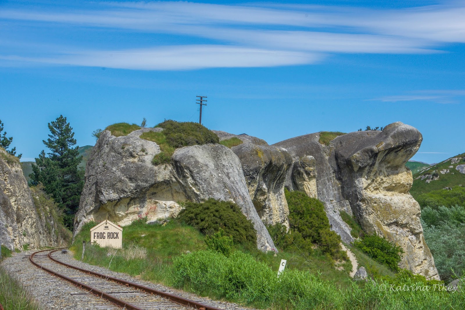 Paws Awhile: Waikari, Waipara & Weka Pass