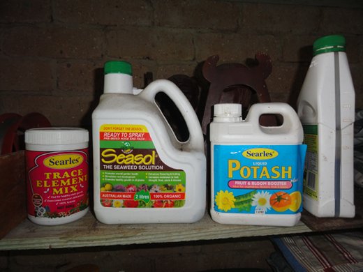 Make you own liquid fertilisers | down to earth