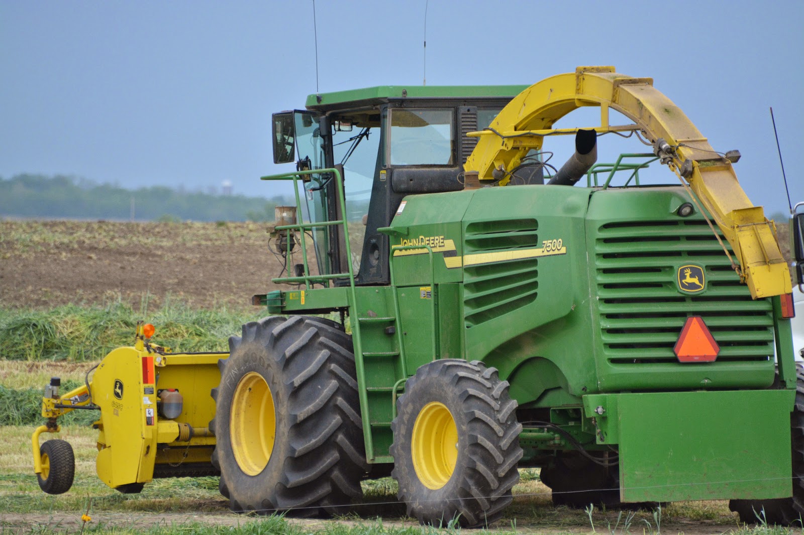 Little House on the Dairy: rye silage