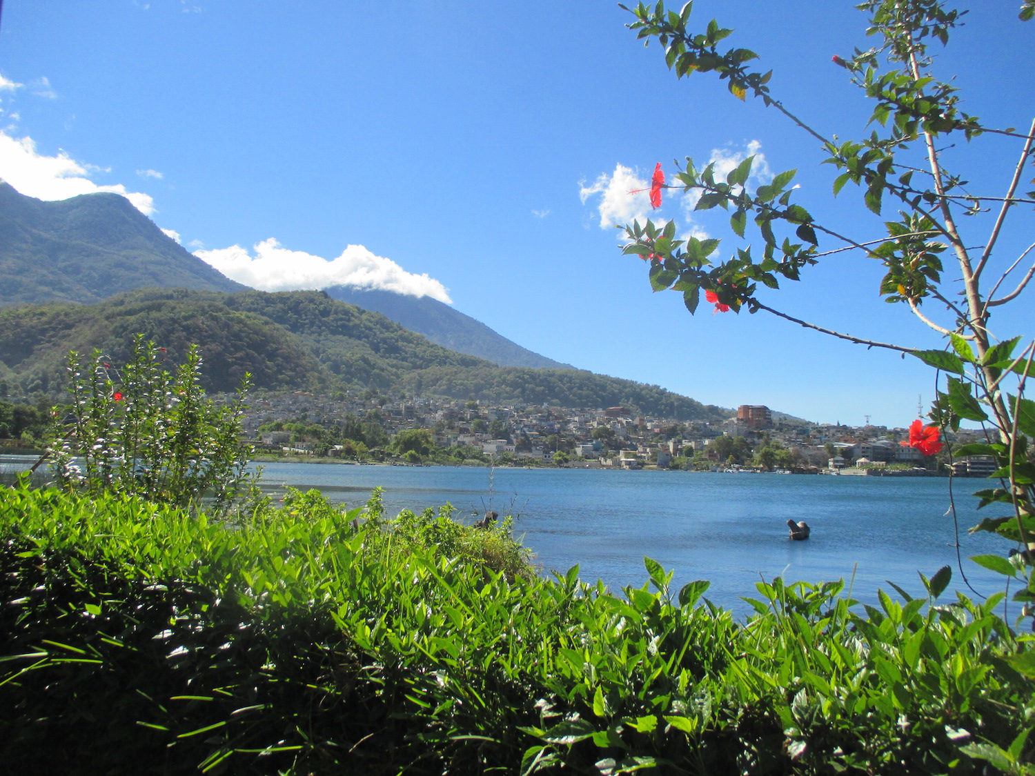 Gardens at Waters East: Guatemala Eternal Spring #4