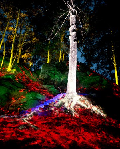 FMP - Painting With Light: Dean Chamberlain