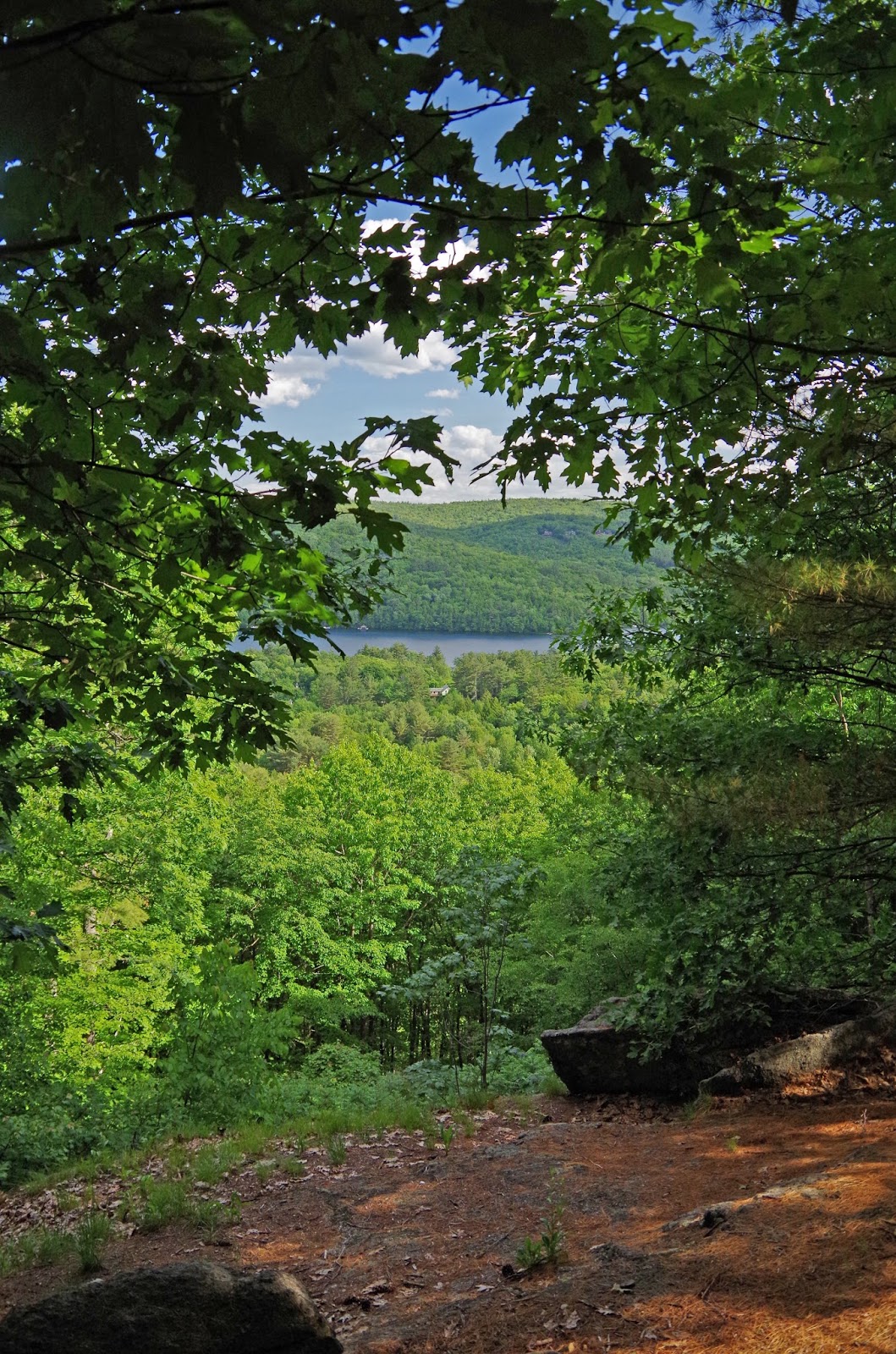 Squam Lakes Natural Science Center Blog: Hiking Mt. Fayal