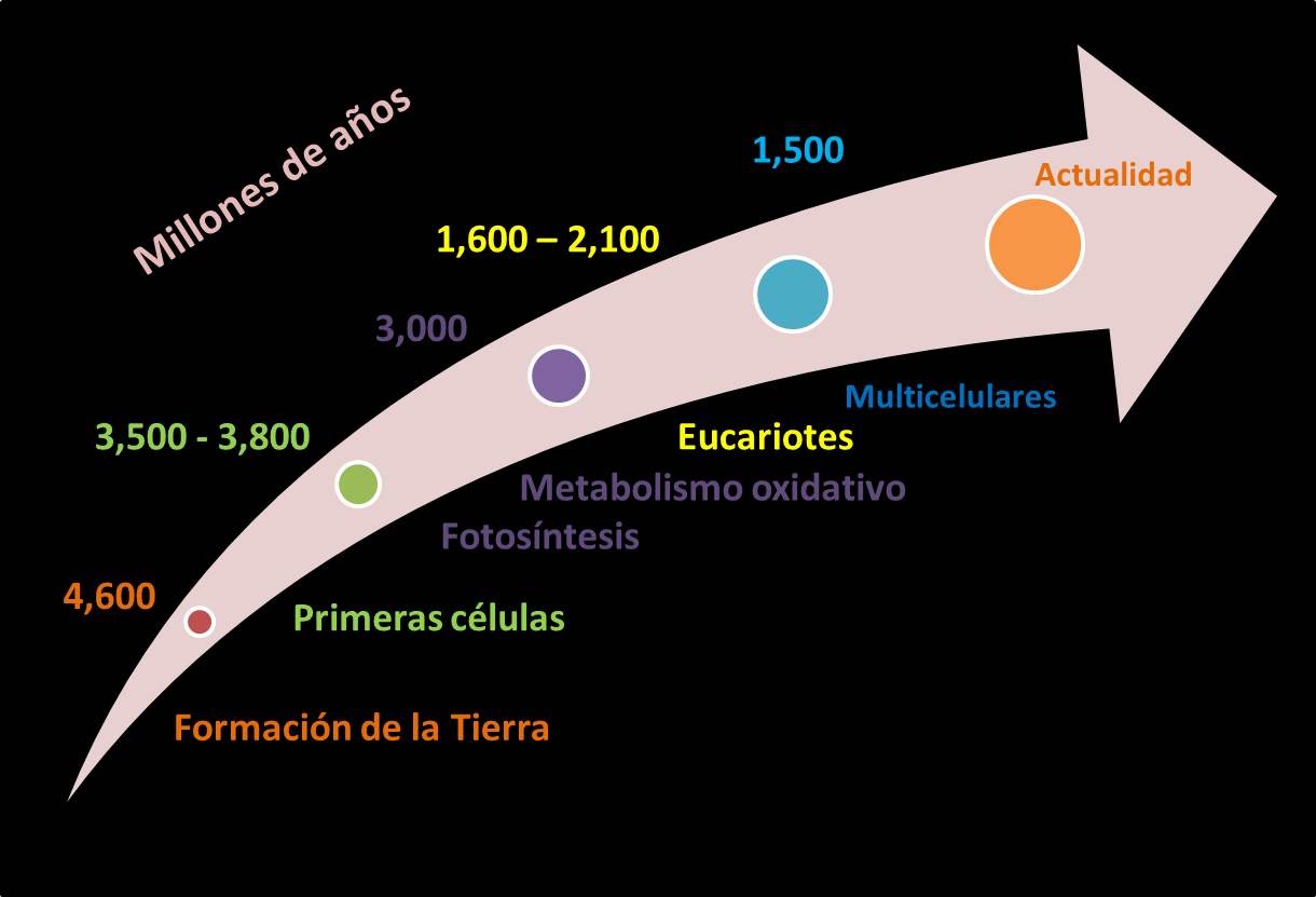 La Célula y Su Origen