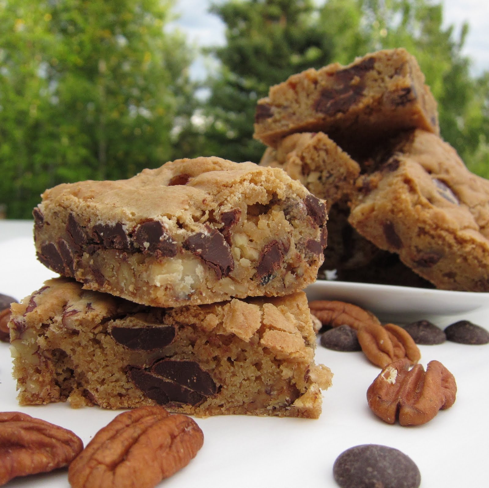 Arctic Garden Studio: Congo Bars