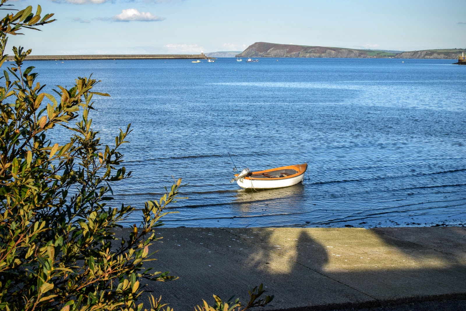 A Good Day in Goodwick, October 2016 - Diary of the Evans-Crittens