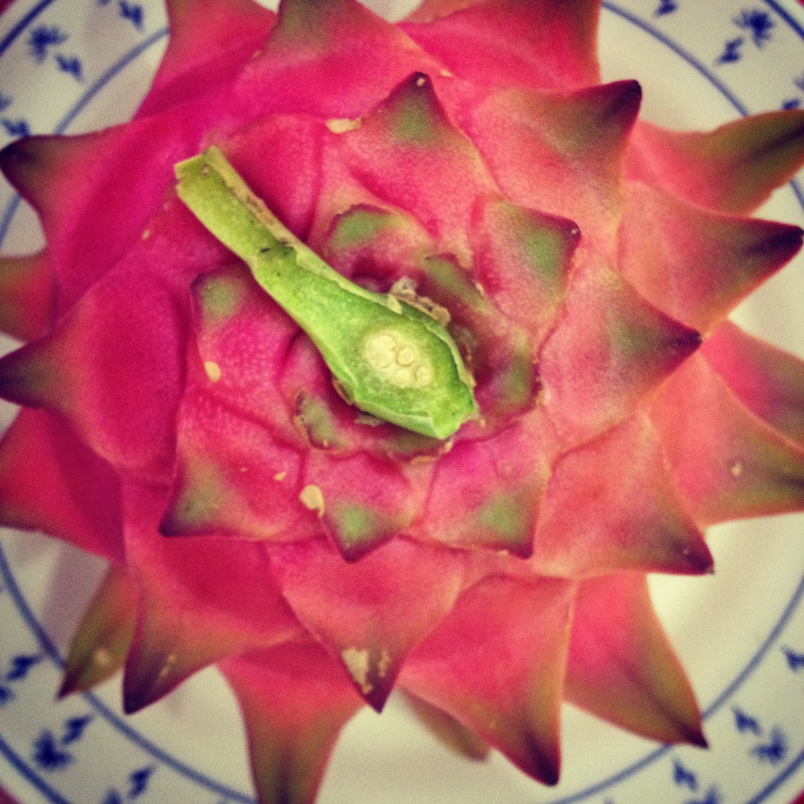 Design Sensible: White pitaya, pink pitaya and the missed yellow dragon ...