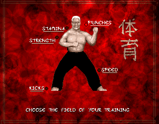 Super Adventures in Gaming: Super Adventures in Amiga Fighting Games