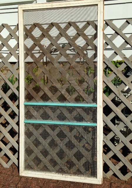 Let's Talk Decorating: Screen Door/Window Musings