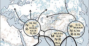 Just Genesis : Who Were the Canaanites?