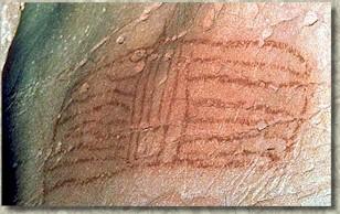 MUNDO DE LA PREHISTORIA: EL SENTIDO DE LOS SIGNOS TECTIFORMES.