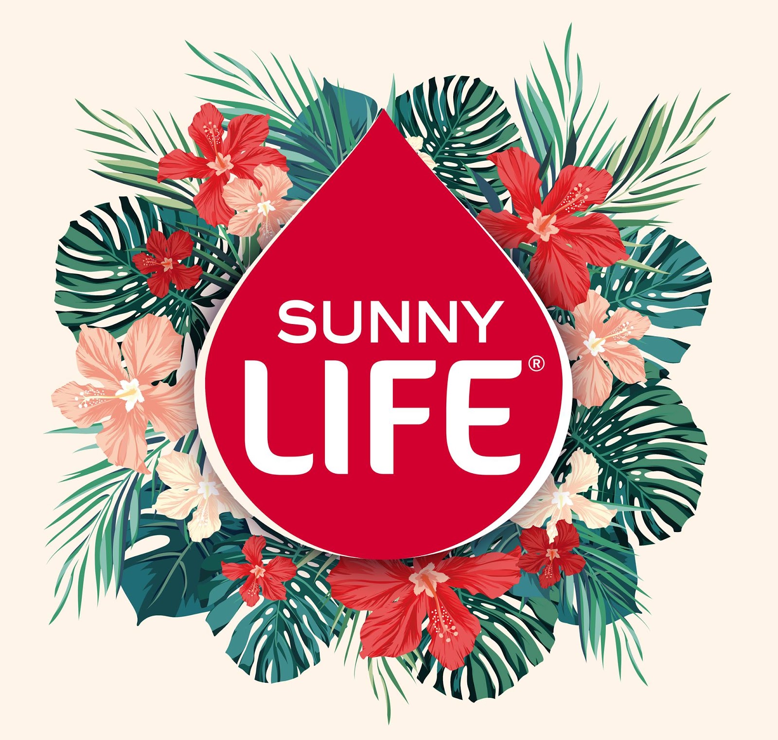 La buscadora de Internet: Sustituir el azúcar con Sunny Life