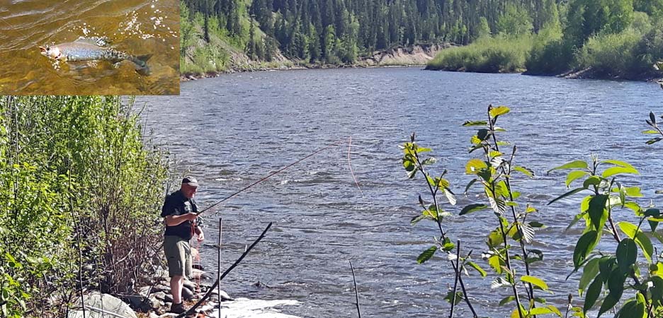 Fabisch Fly Fishing Canada for Steelhead