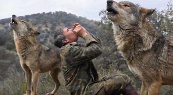 White Wolf : Man raised by wolves for 12 years wishes he could return ...