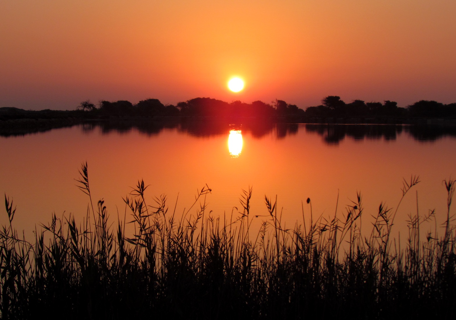 REFLEXIONES: Del Alba al Ocaso: Vivencias