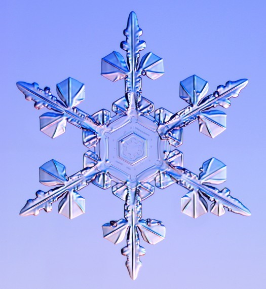 Heraldry of Life: ART with REAL SNOWFLAKES