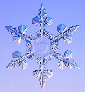 Heraldry of Life: ART with REAL SNOWFLAKES