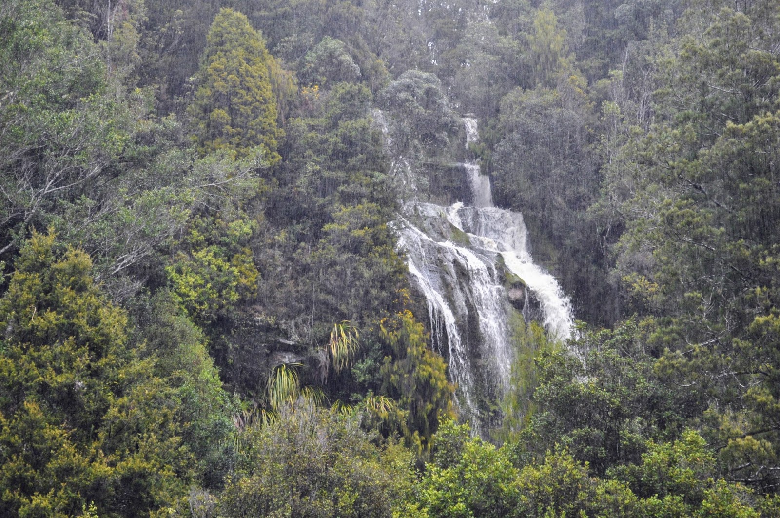 Dutchcorner: Mokihinui on the West coast of New Zealand