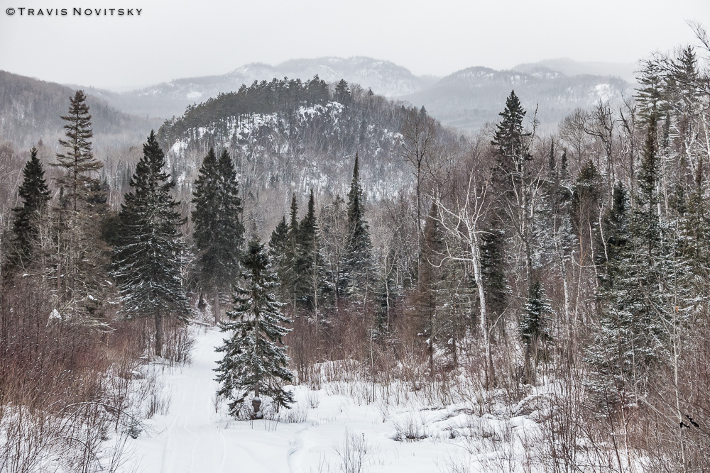 Photography by Travis Novitsky - Photo Journal: February Afternoon in ...