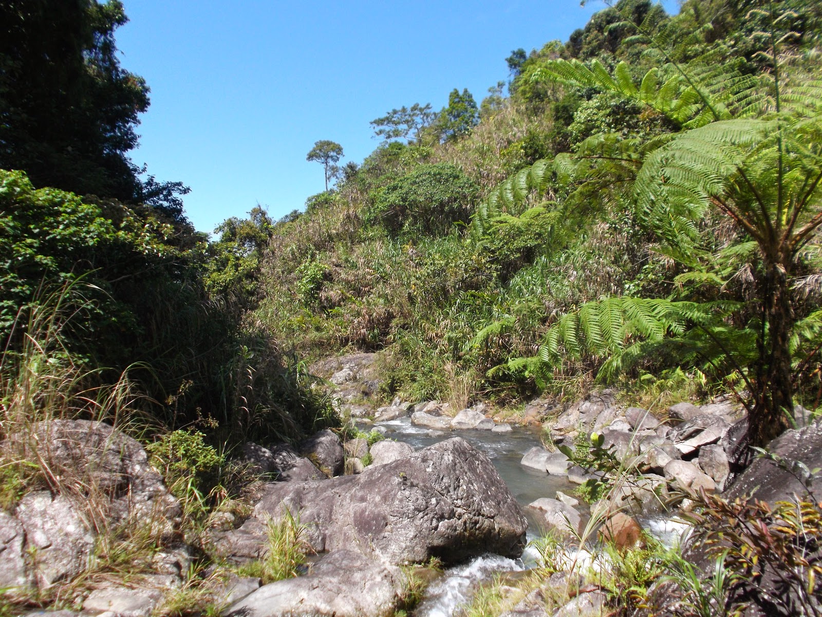 Elder Jordan Paul Kocherhans: March 2015
