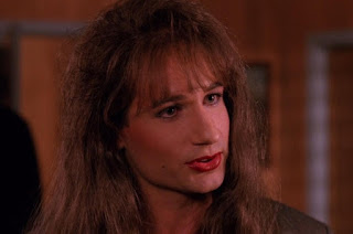 THE GRANDMA'S LOGBOOK ---: DAVID DUCHOVNY: FROM TWIN PEAKS TO THE X FILES