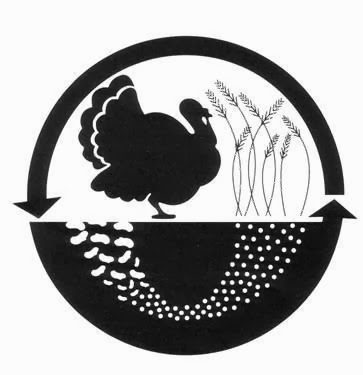 The Scoop on Turkey Poop | Katie Olthoff