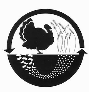 The Scoop on Turkey Poop | Katie Olthoff