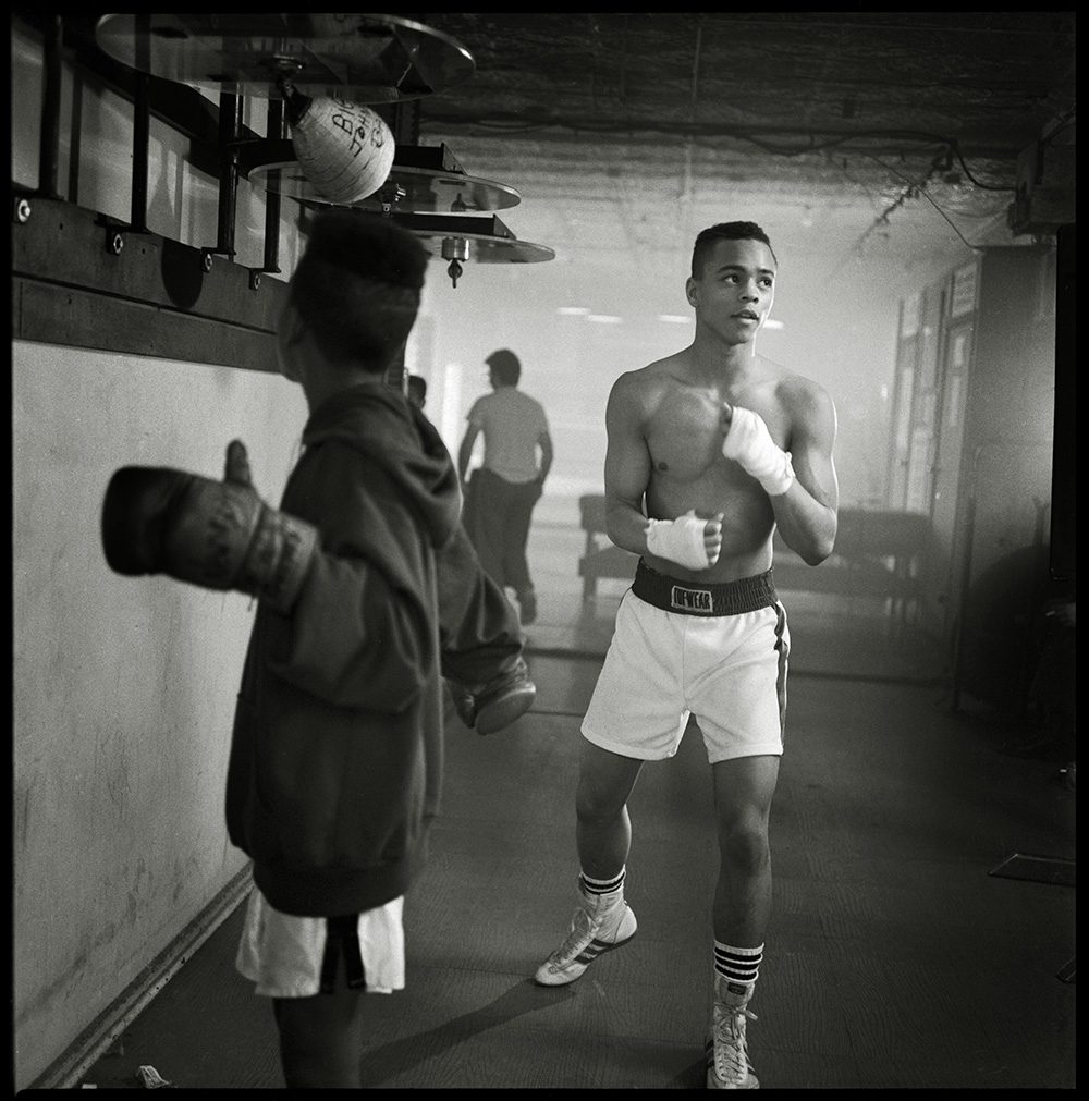 some old pictures I took: The Boxer