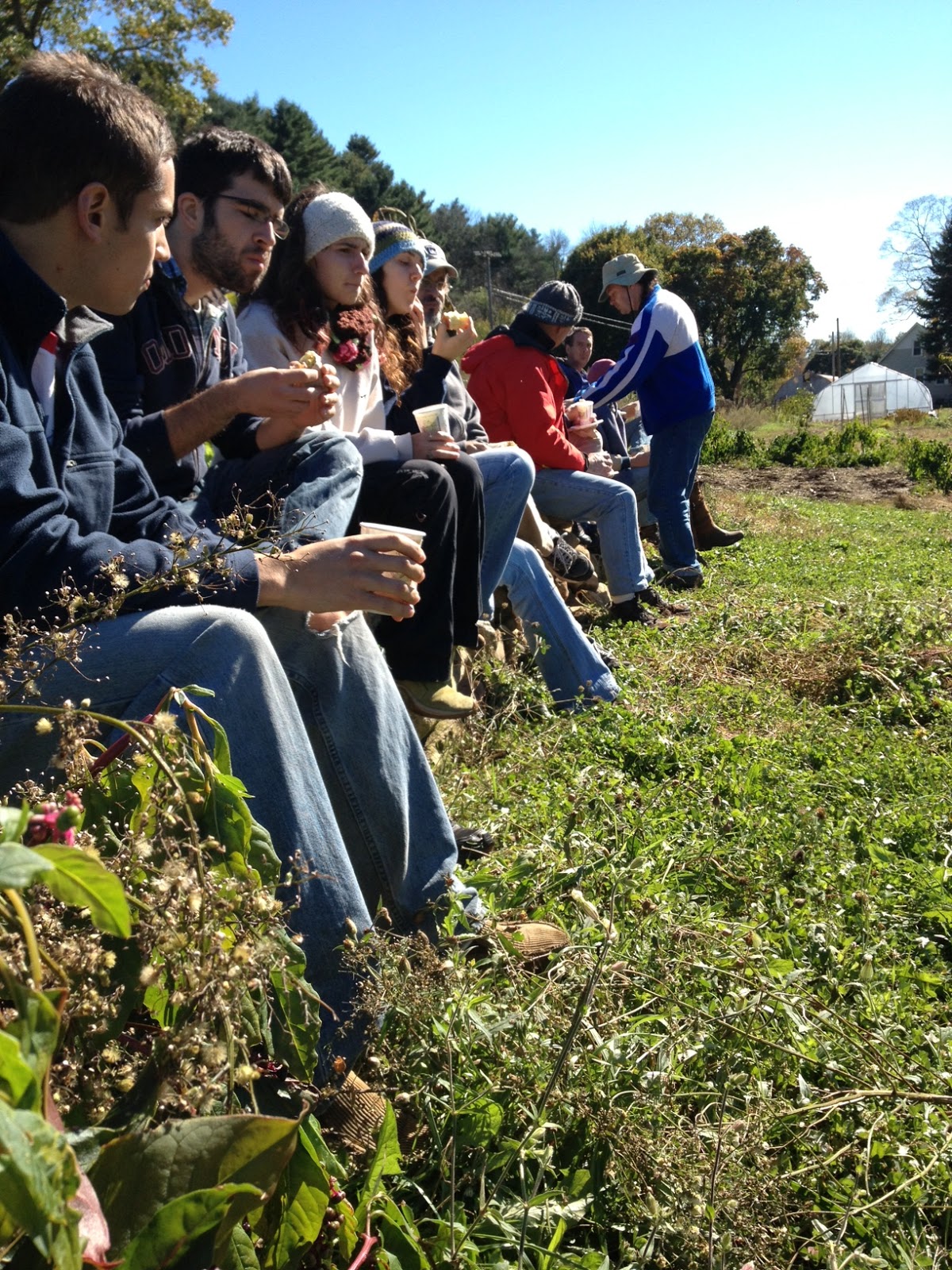 EcoHouse at Spring Valley Student Farm: Emergency Update