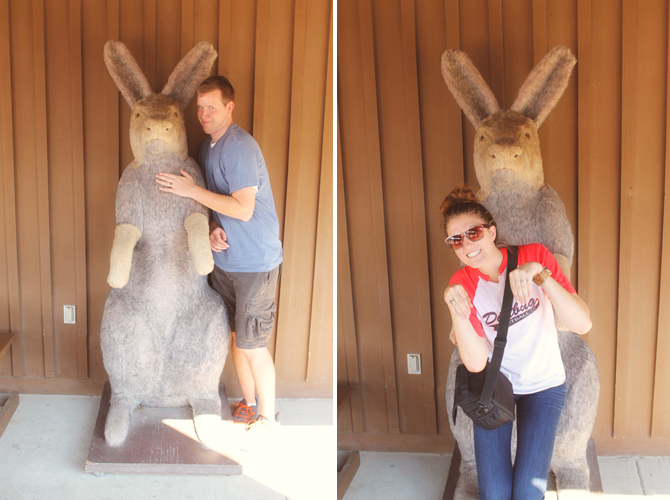 itsAlyx: Walls+Drugs=The Biggest Drug Store You'll Ever See