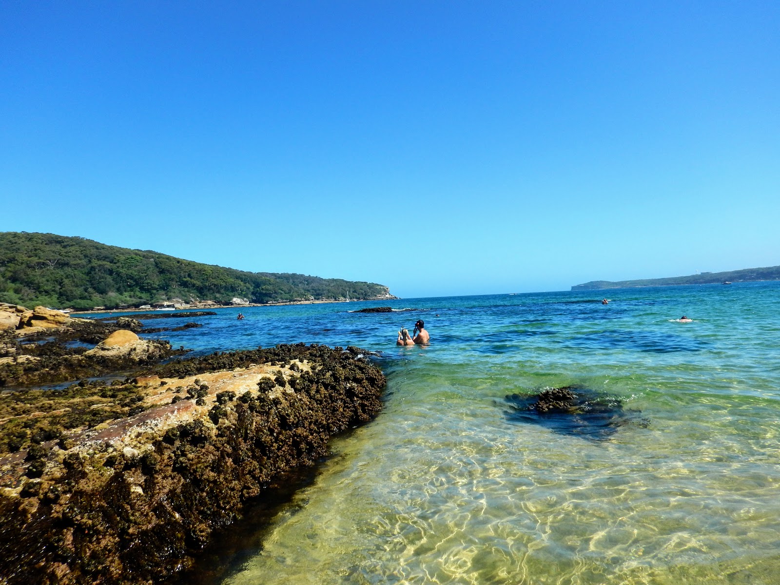 Sydney Snorkeling : Congwong Beach (La Perouse)