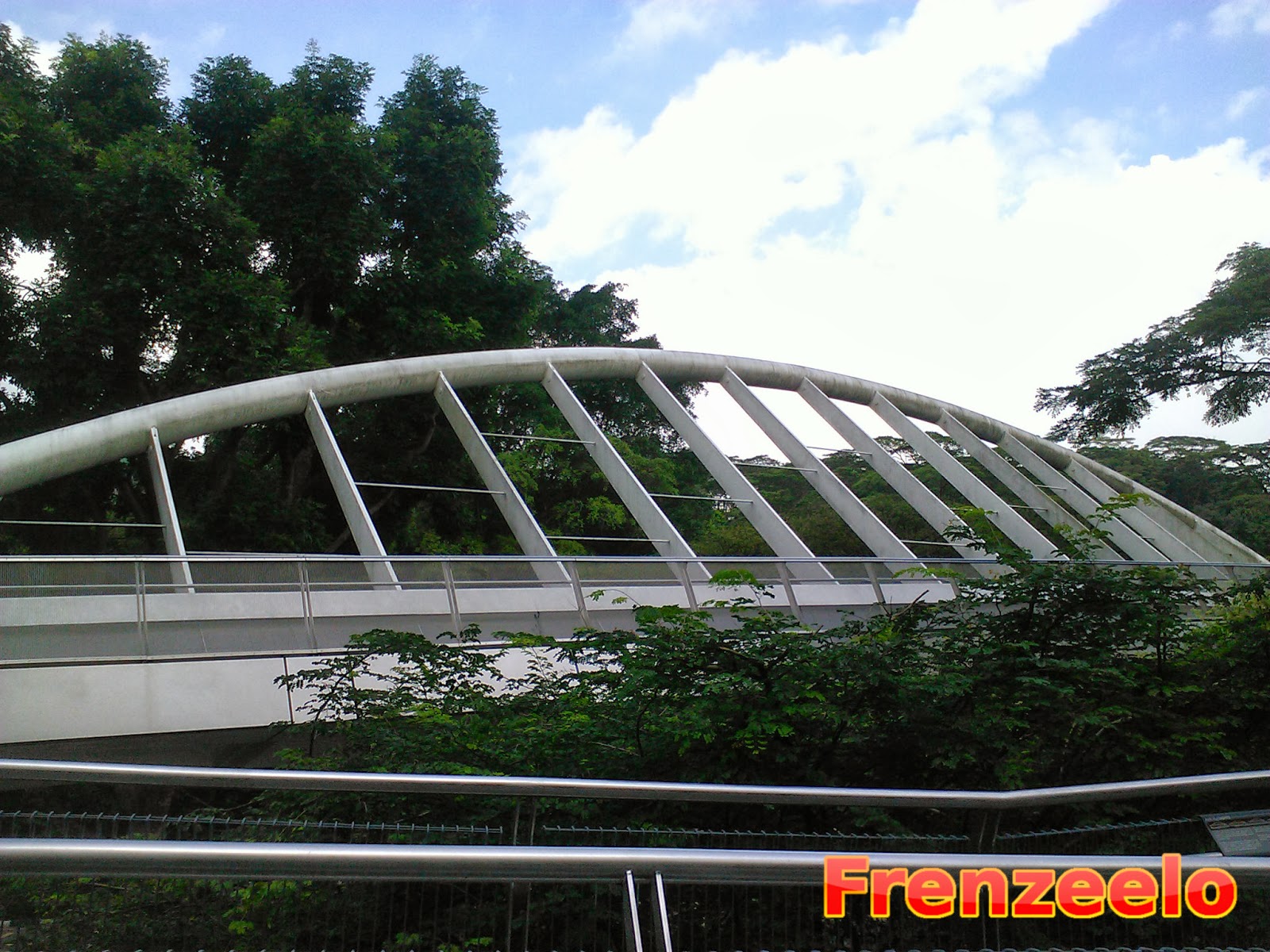 Frenzeelo: 7 Best Pedestrian Bridges in Singapore - ZeeloTips