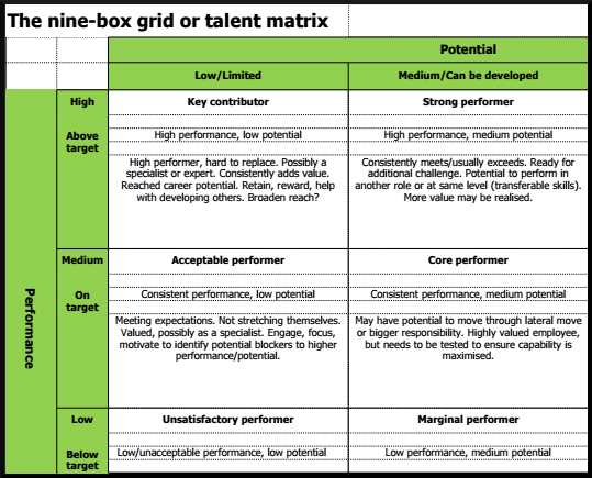 Using The 9box Grid With The Performance Values Matrix