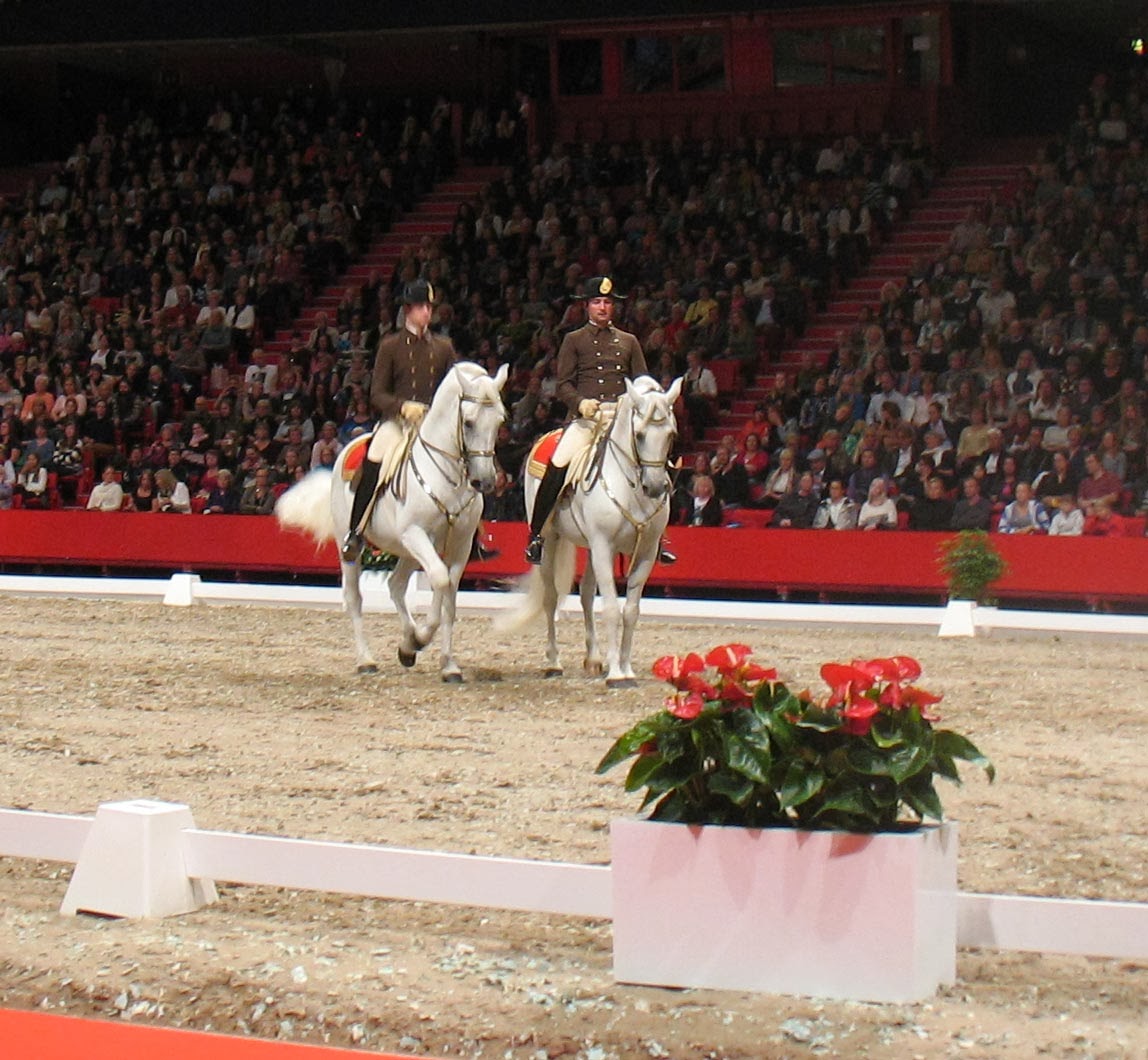 Hästdrömmar: Spanska ridskolan