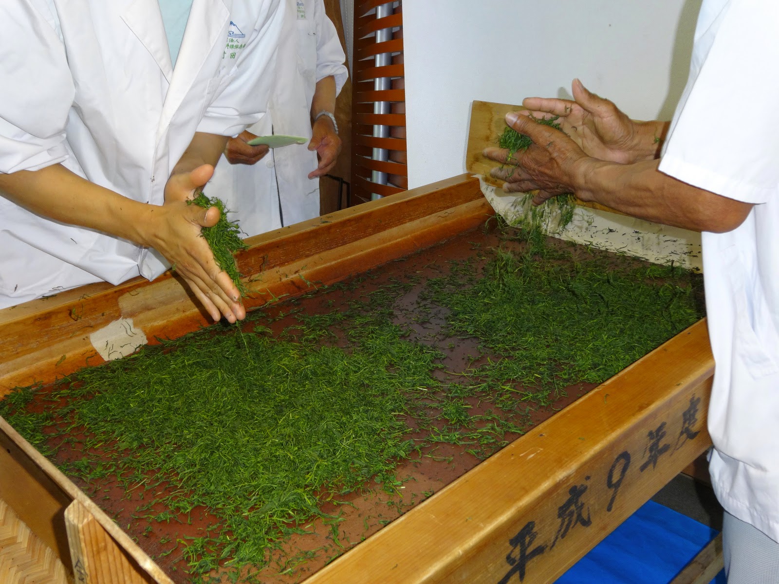 Trailing Normal: Green Tea