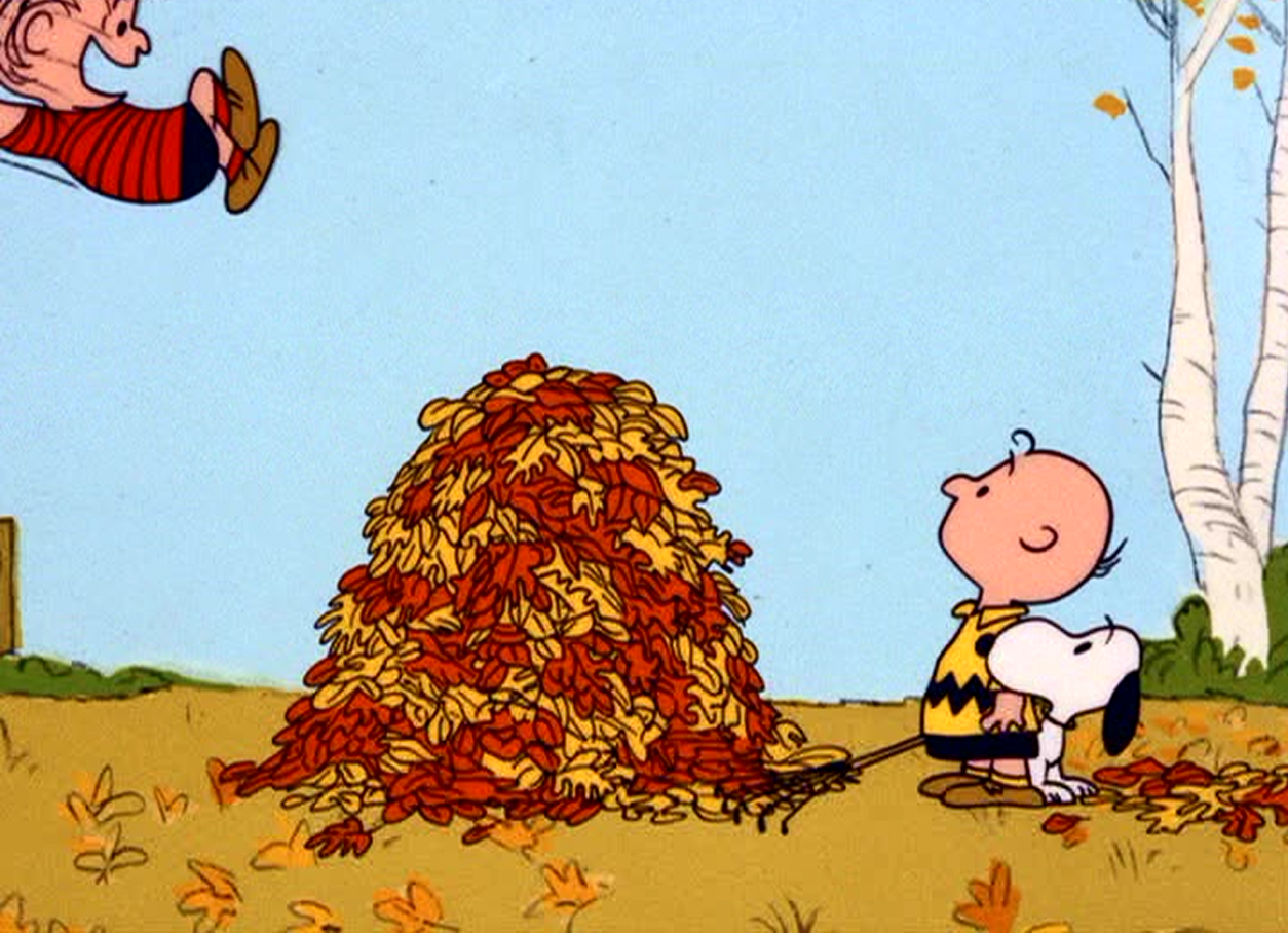 DarkDimension: This is Halloween: It's the Great Pumpkin, Charlie Brown!