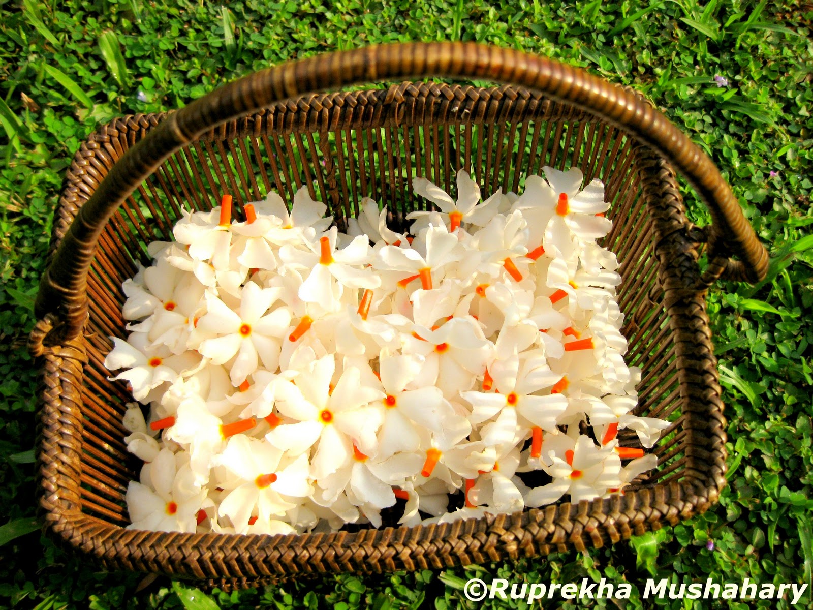 Feelings: Autumn is here again ....