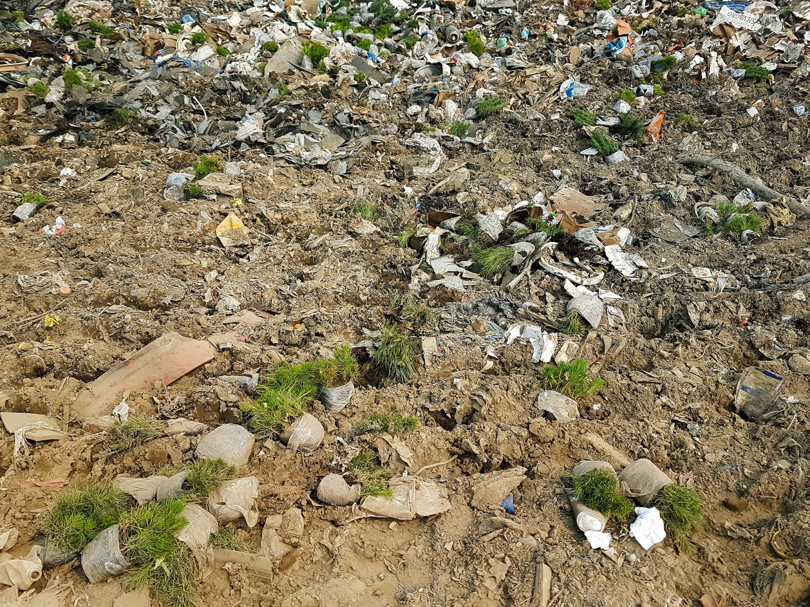 "From the Ridiculous to the Sublime": State of the Industry (2018 ...