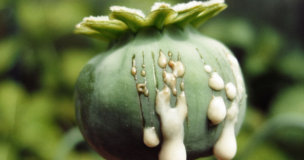 DuGBuGoffice - WalmartRamen - A New Day: Pot Roast Marinated In Opium