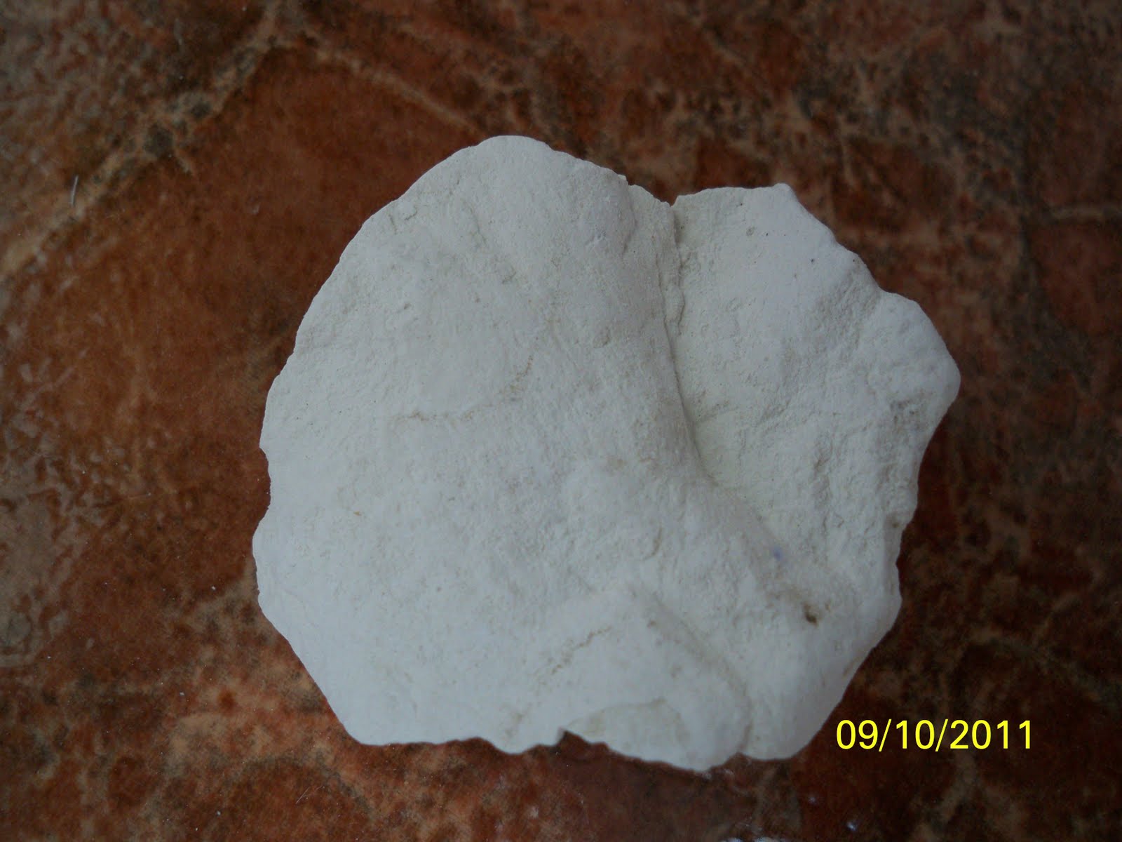 Fosile,Minerale,Roci: Colectia mea-Roci