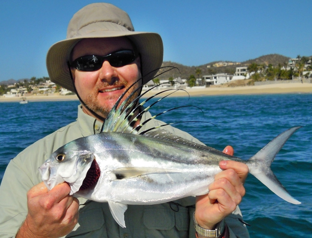 FishnDave: OBN - Up Close & Personal (Macro Shots)