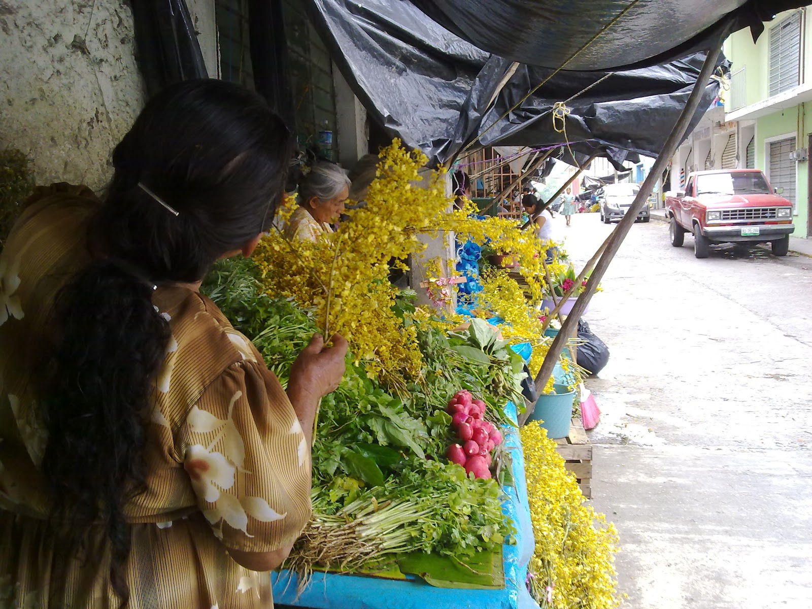COMUNICANDO A PUEBLILLO Y EL LLANO PAPANTECO: COLORIDO FESTEJO DE LA ...