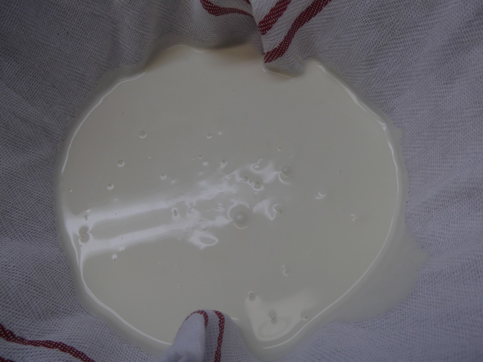 Deb Lane-Going Back To Basics