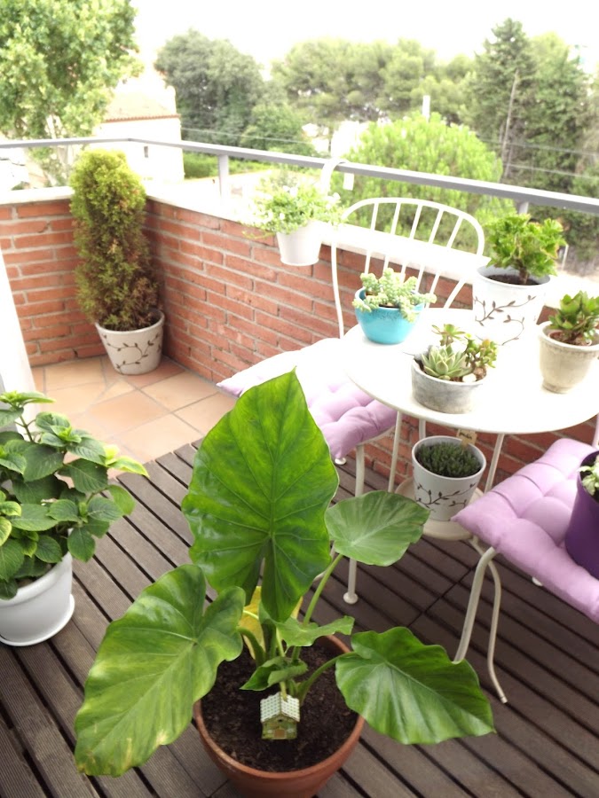 La planta de La Marquesa... | Decoración