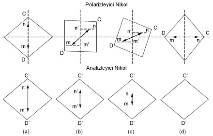 Prof. Dr. Bilsen Beşergil: Polarimetri (polarimetry)