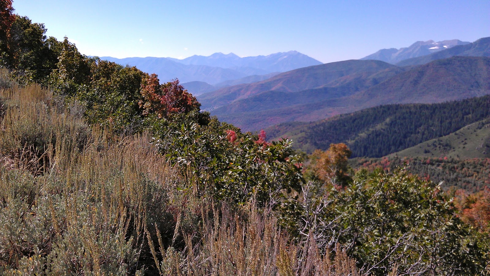 Hiking Utah: Wasatch Mountains: Wilson Peak (near the towns of Midway ...