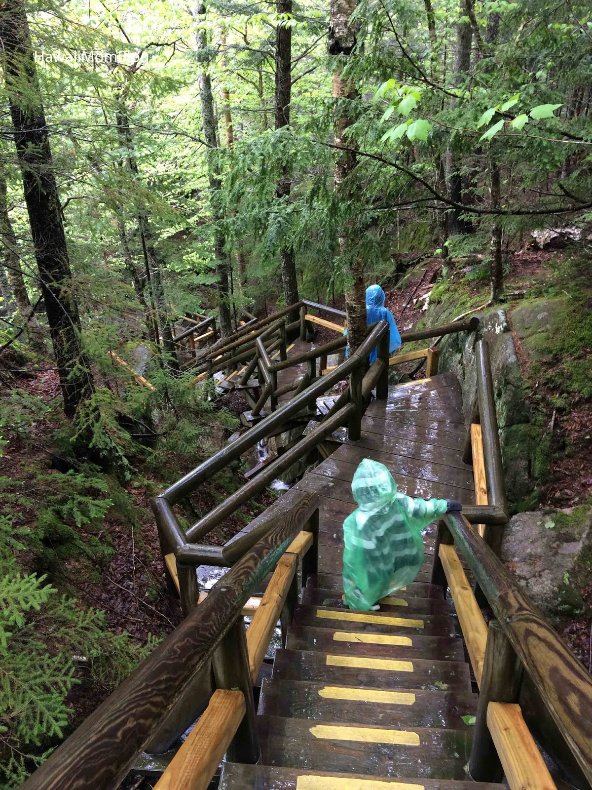 Hawaii Mom Blog: Visit New Hampshire: Lost River Gorge & Boulder Caves