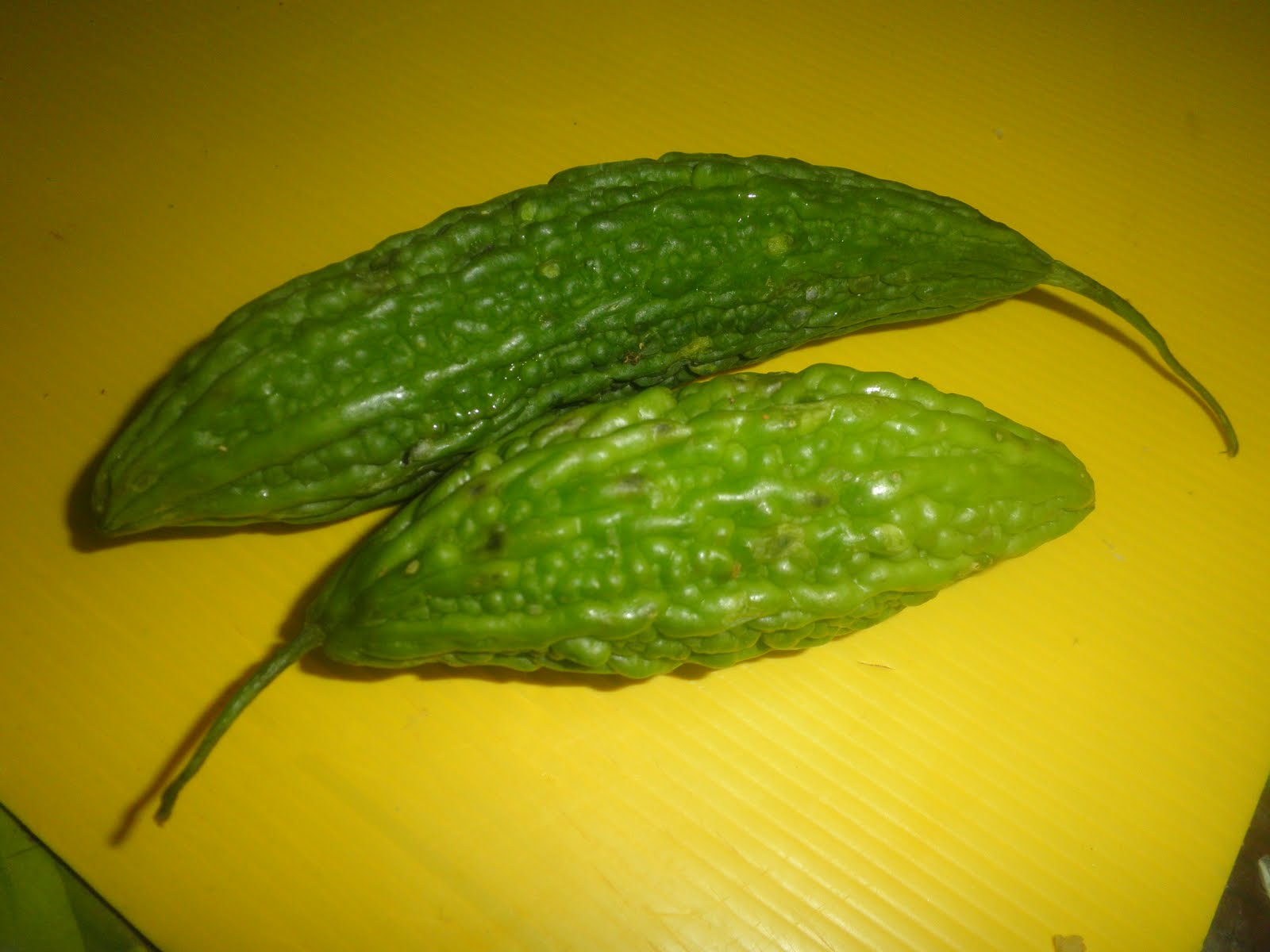 pokok herba,bunga, ulaman dan segala jenis tumbuhan: peria katak