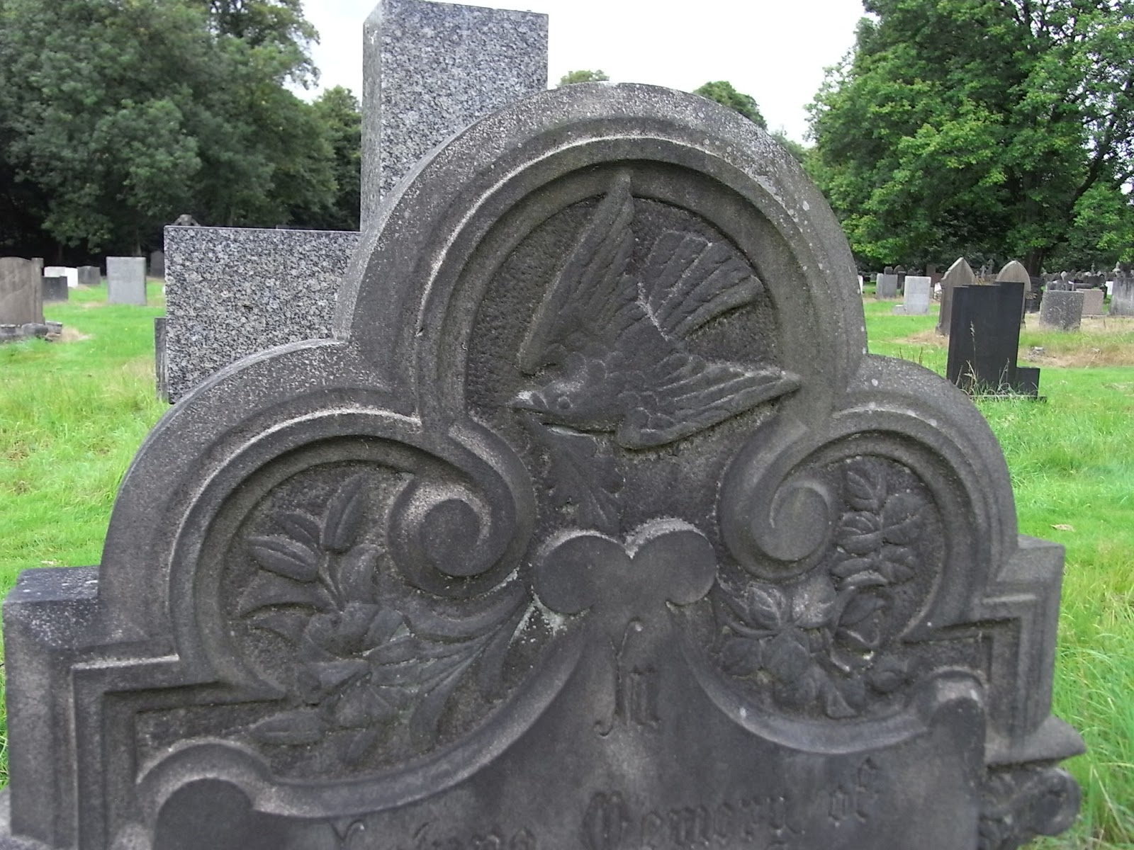 The Graveyard Detective: Cemetery Bird Life